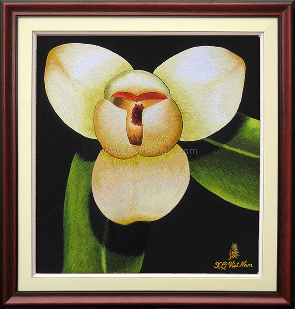 Cambodia National Flower Rumdul | Best Flower Site